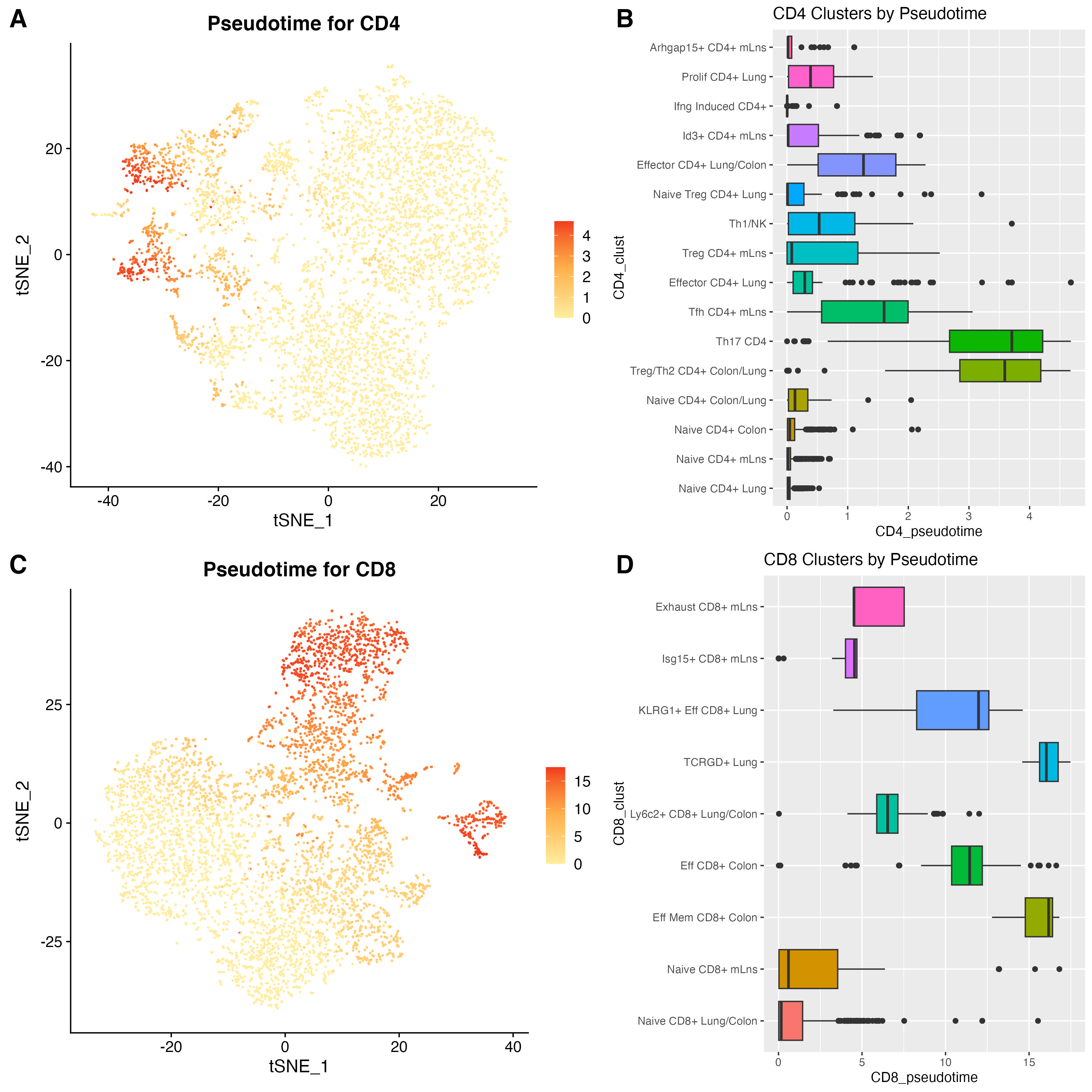 Candida Migratory TCR Project