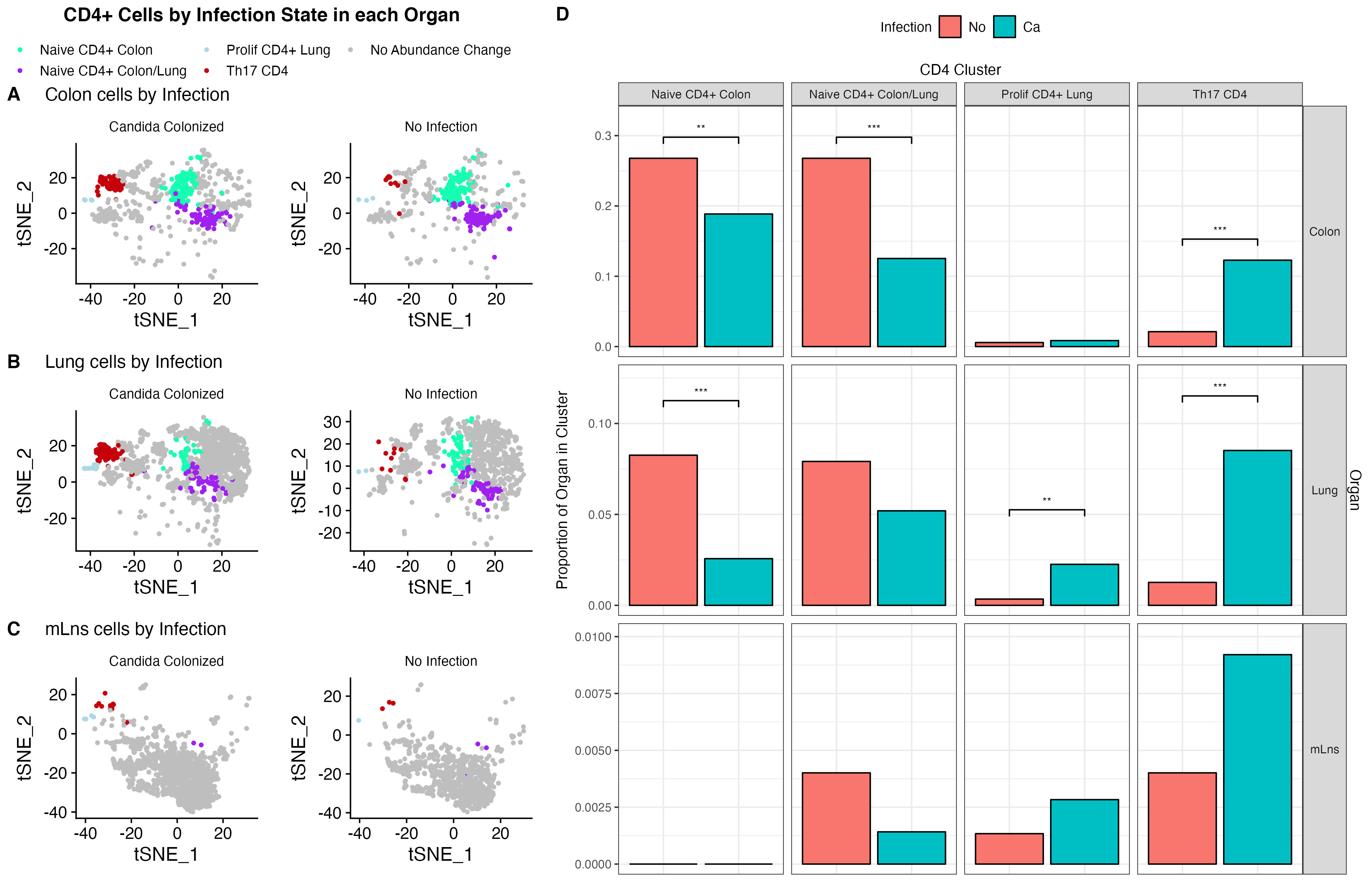 Candida Migratory TCR Project
